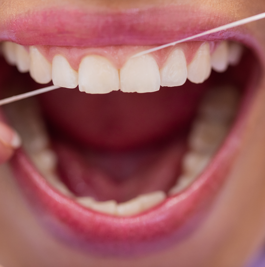 Teeth: Names, types, and functions - Pearl Fine Dental Care